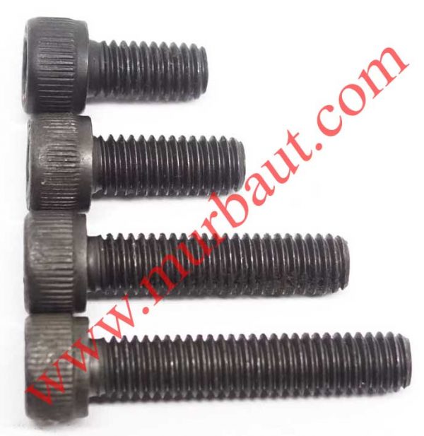 Mur Baut - Baut L Baja 12.9 M5 x 30mm Half Drat
