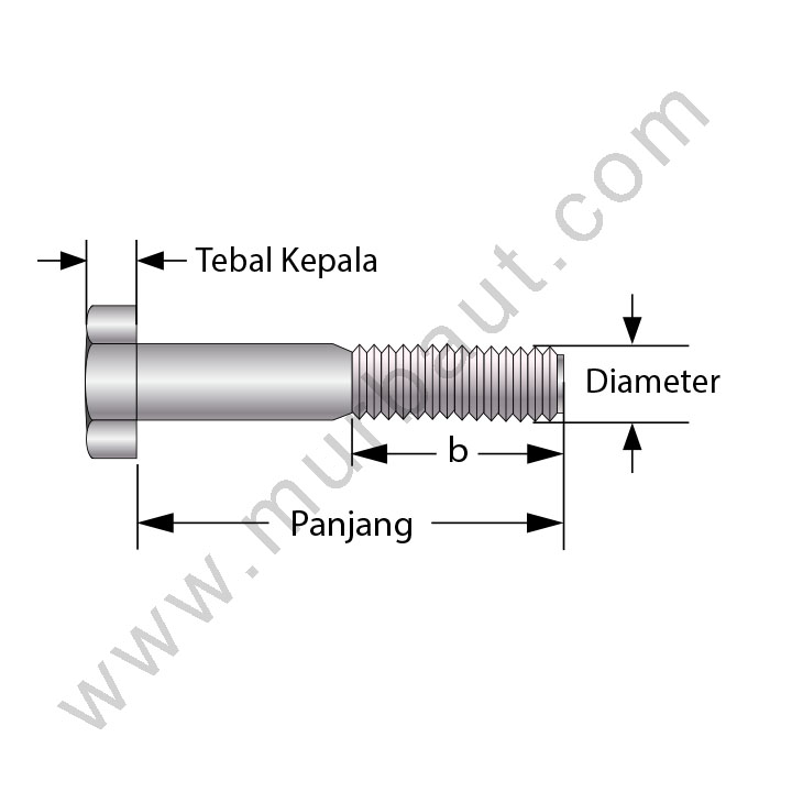 Mur Baut - Baut Stainless 304 M30 x 210mm Half Drat